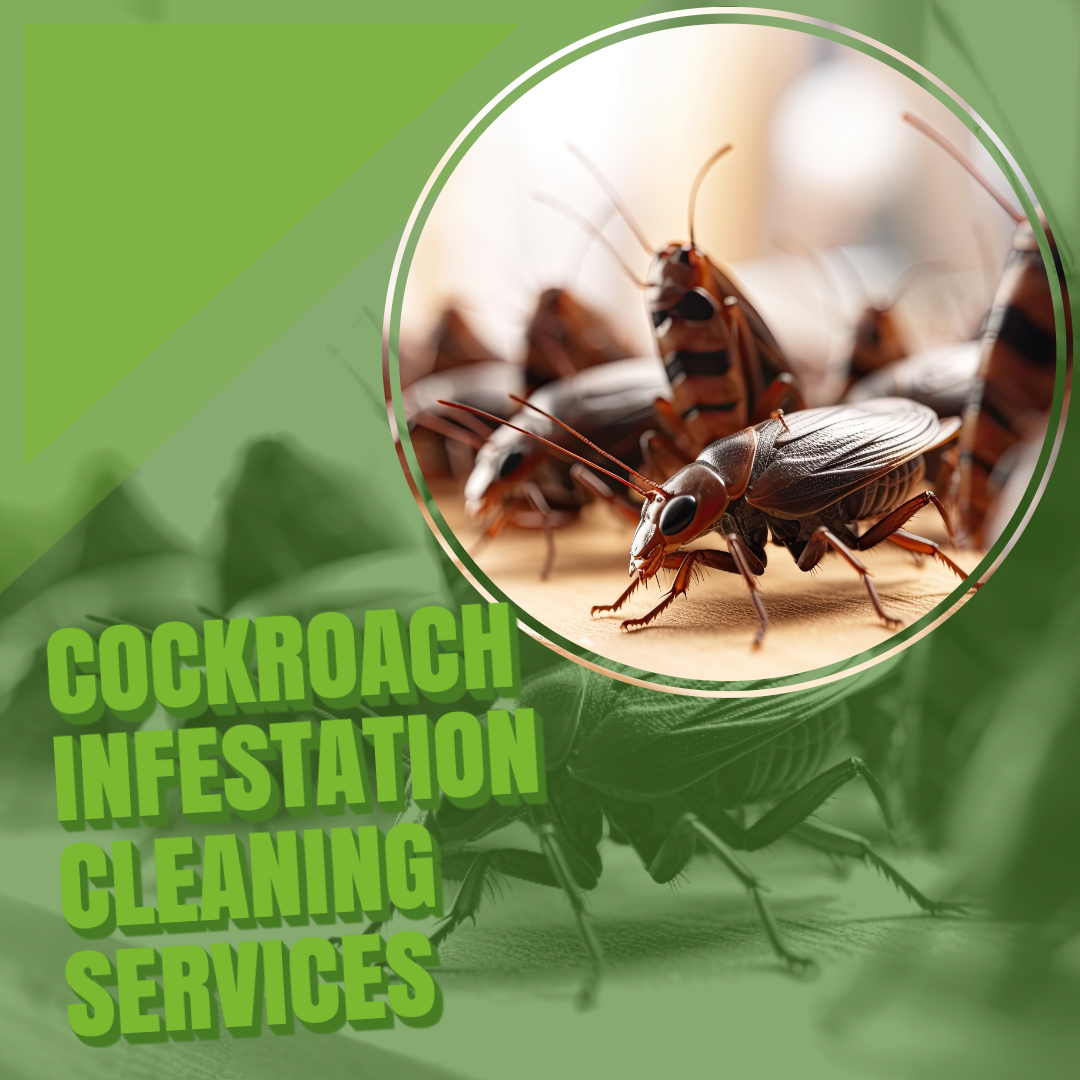 California Cockroach Cleaning Service | Versa-Tech PM@